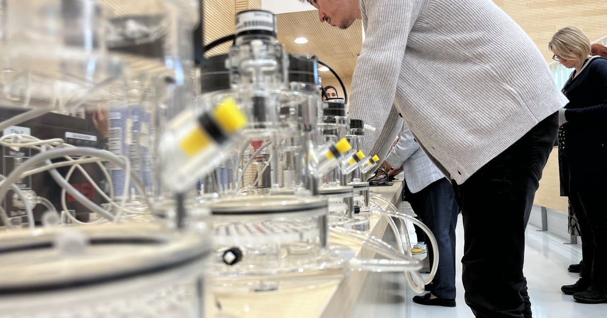 Advanced Ethical Tools: Enhancing Humane Animal Testing in Air ...